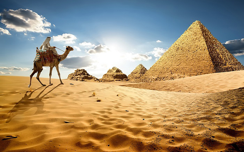 HEALTH PROFILE EGYPT