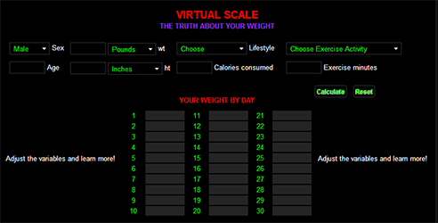 VIRTUAL SCALE