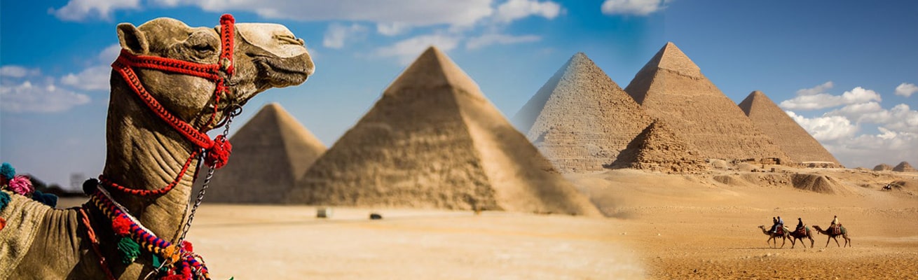 HEALTH PROFILE EGYPT