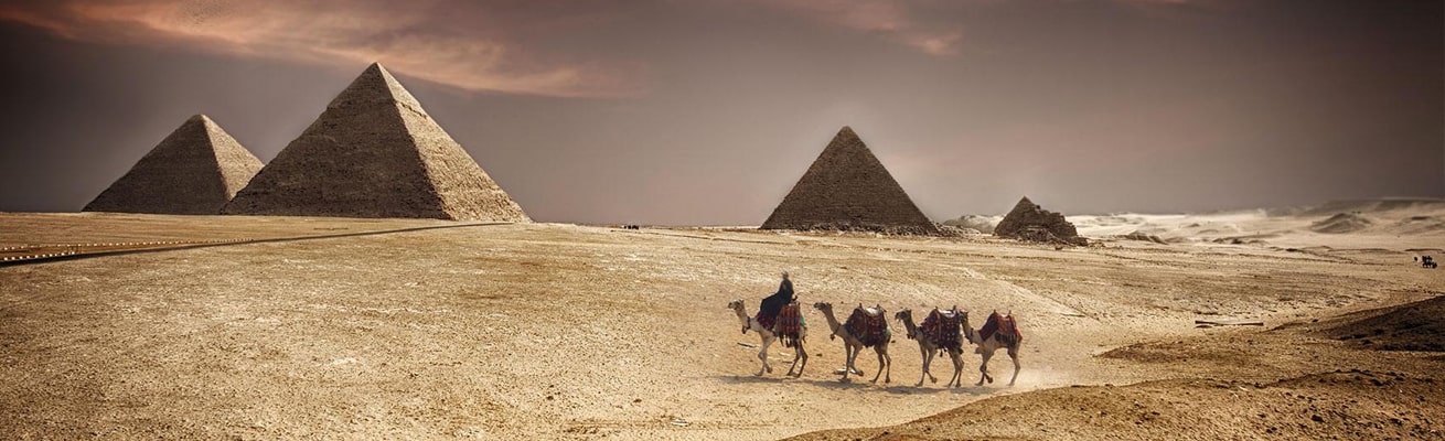 HEALTH PROFILE EGYPT