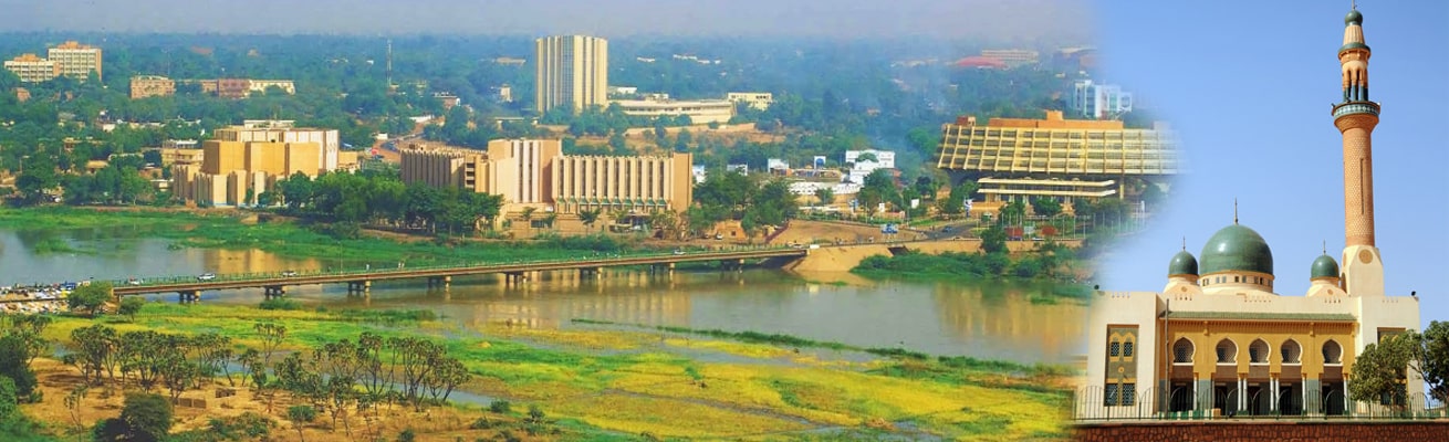 HEALTH PROFILE NIGER