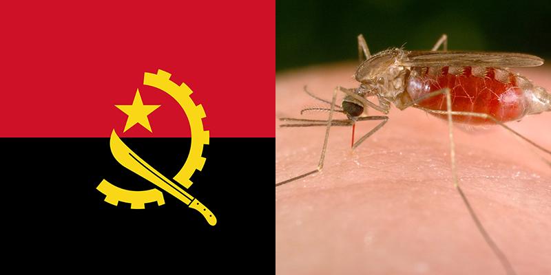 Malaria in Angola