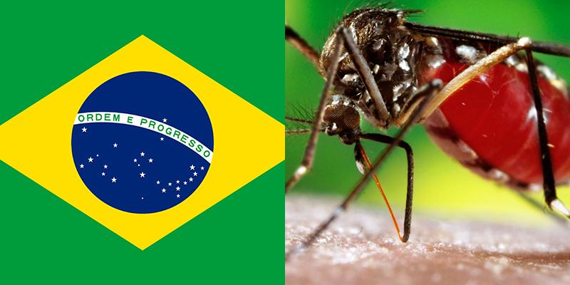 Dengue in Brazil