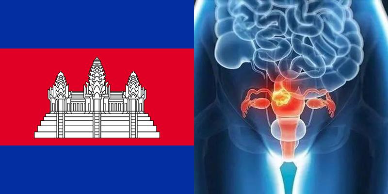 Câncer cervical na Camboja