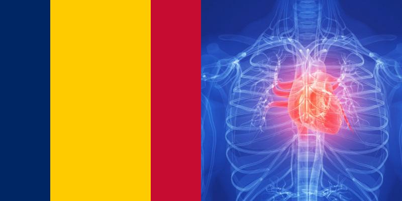 차드에서 염증성/하트