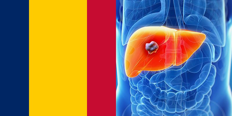 차드에서 간 암