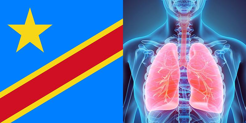 콩고 민주 공화국에서 폐 질환