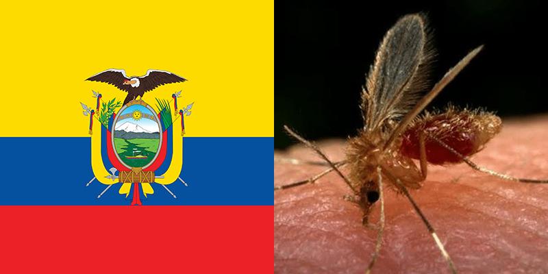 Leishmaniasis in Ecuador