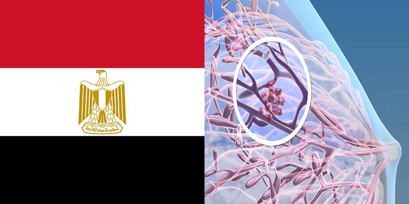 Breast Cancer in Egypt