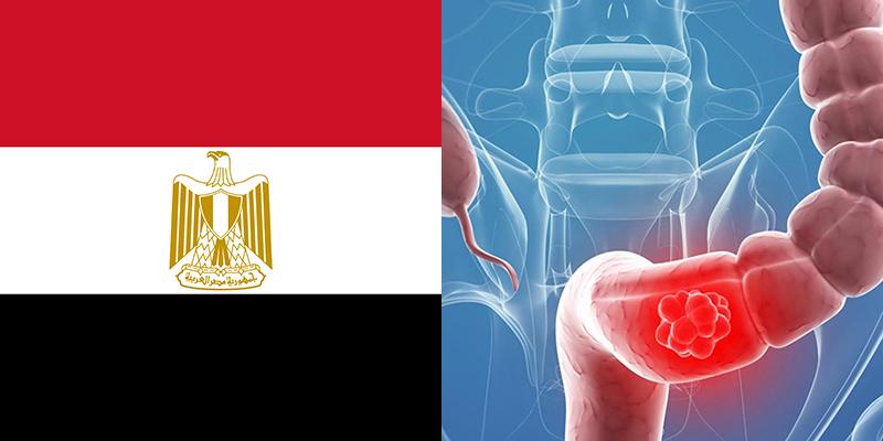 Colon-Rectum Cancers in Egypt