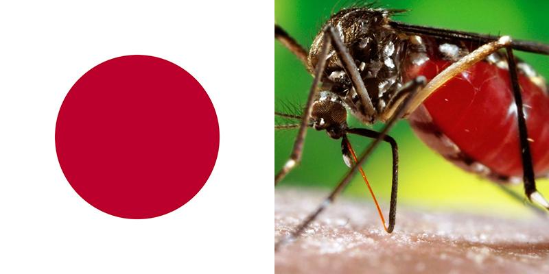 Dengue in Japan