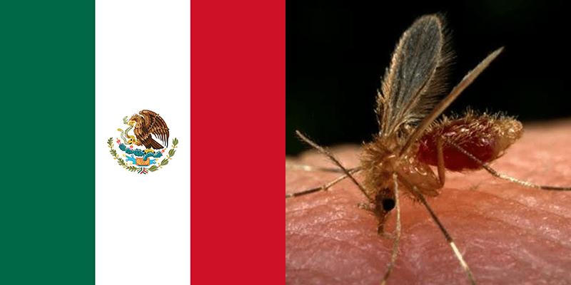 Leishmaniasis in Mexico