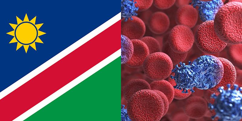 HIV/AIDS in Namibia