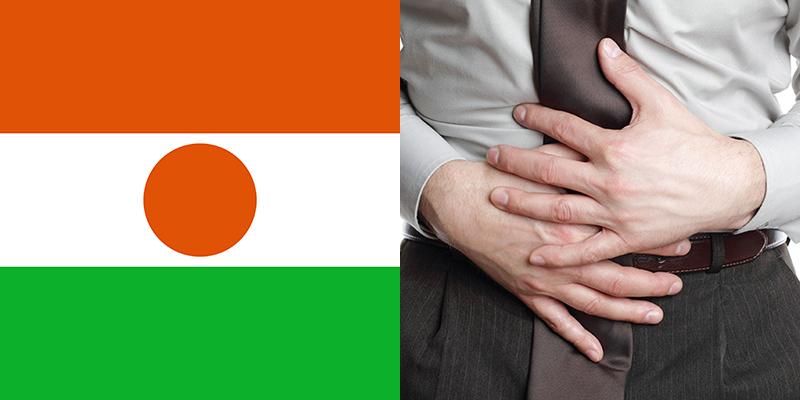Diarrhoeal diseases in Niger