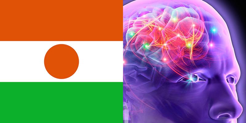 니제르에서 간질