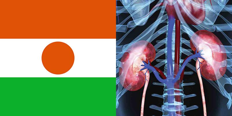 니제르에서 신장병