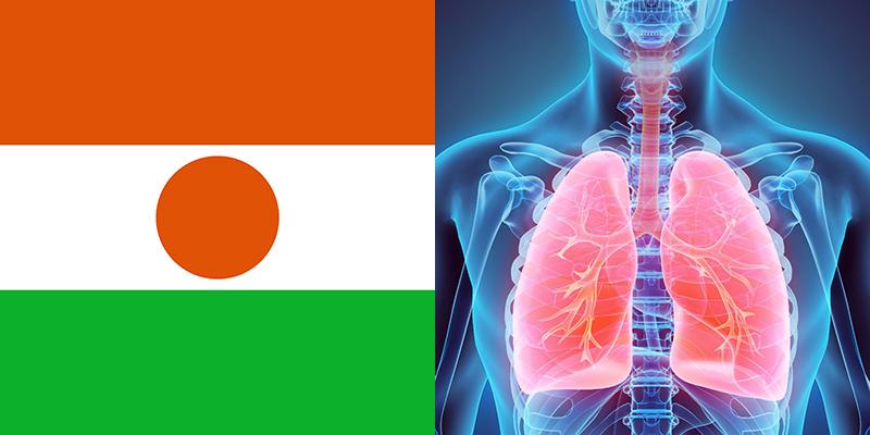 니제르에서 폐 질환