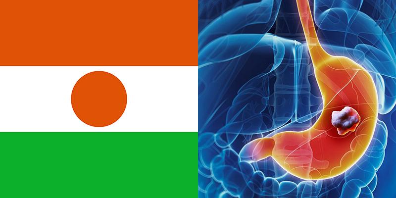 Kanker perut di Niger