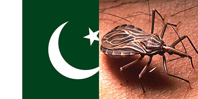Chagas disease in Pakistan