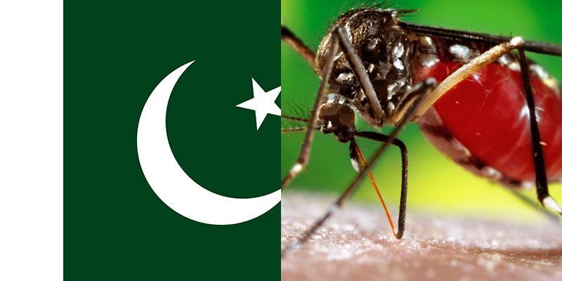 Dengue in Pakistan