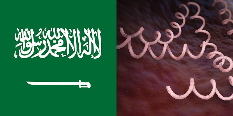 Syphilis in Saudi Arabia