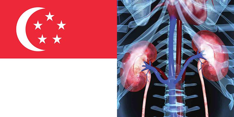 Kidney Disease in Singapore
