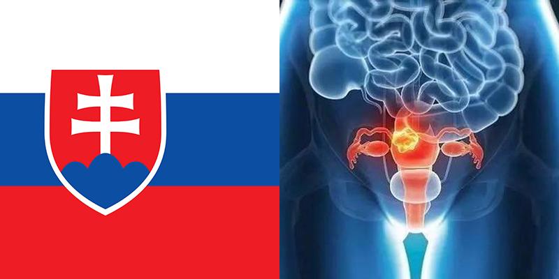 슬로바키아에서 자궁 경부암