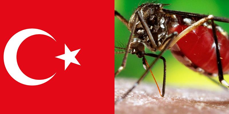 Dengue in Turkey