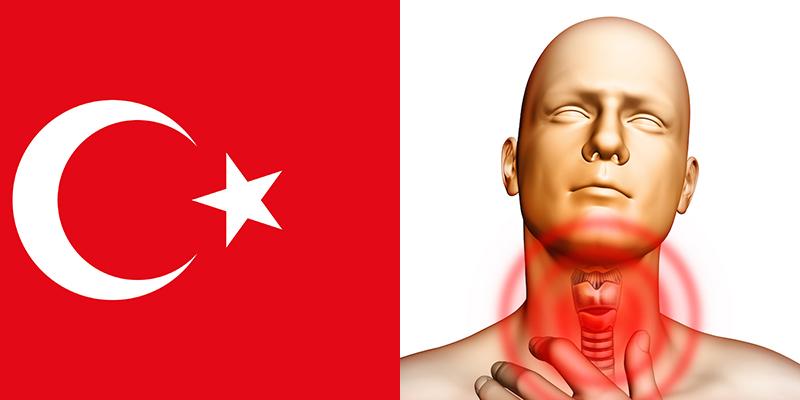 Iodine Deficiency in Turkey
