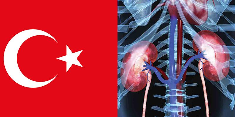 Kidney Disease in Turkey