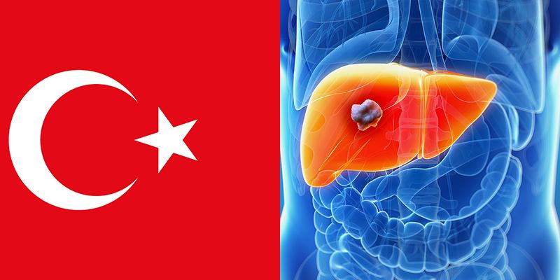 Liver Cancer in Turkey