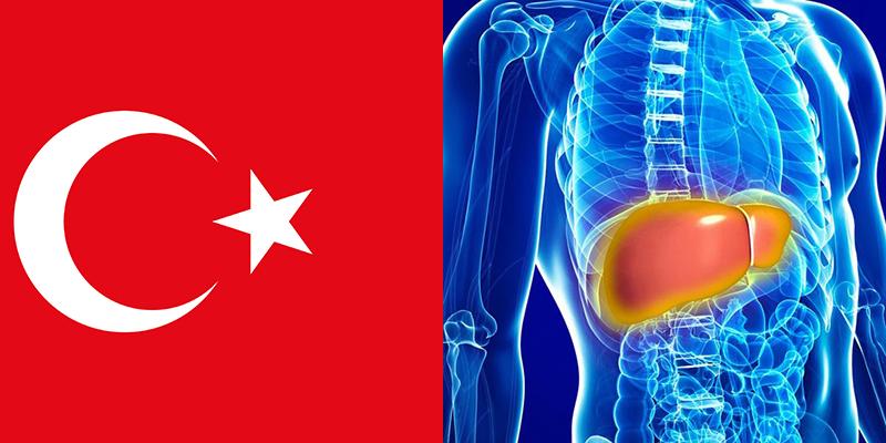 Liver Disease in Turkey
